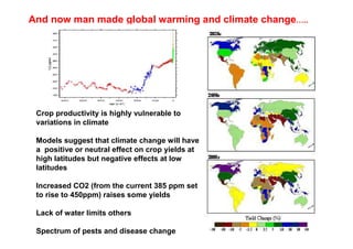 B4FA 2012 Tanzania: The challenge of food security and sustainability ...