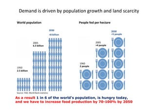 B4FA 2012 Tanzania: The challenge of food security and sustainability ...