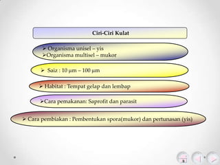 1.1 jenis mikroorganisma | PPTX