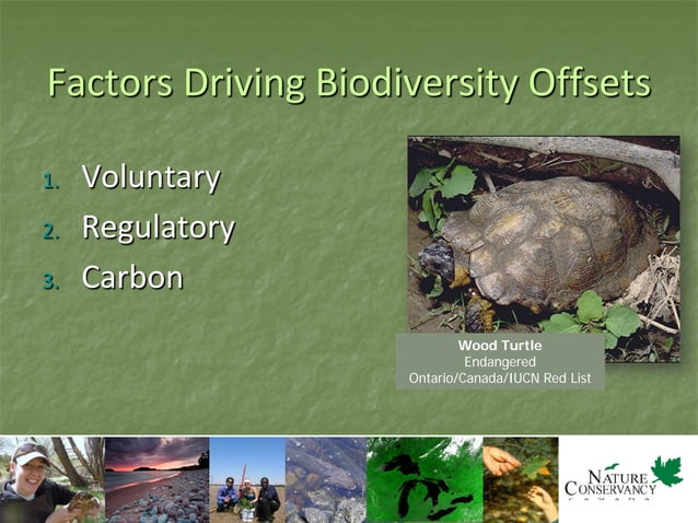 Factors Driving Biodiversity Offsets: The Nature Conservancy of Canada’s Biodiversity Benefits ...