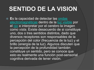 1.3 clasificacion de los sentidos ricardo botello (2) | PPTX