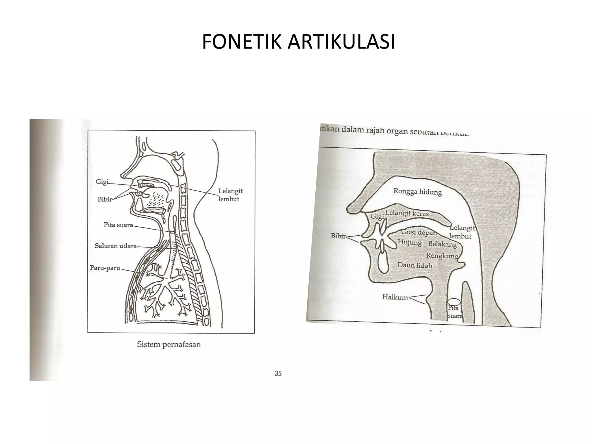 1.1 nota.fonetik.fonologi | PDF