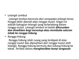 1.1 nota.fonetik.fonologi | PDF