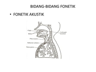 1.1 nota.fonetik.fonologi | PDF