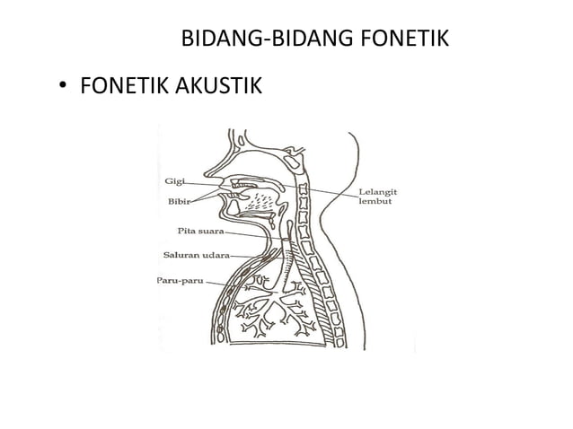 1.1 nota.fonetik.fonologi | PDF