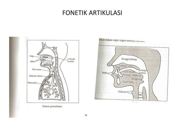 1.1 nota.fonetik.fonologi | PDF