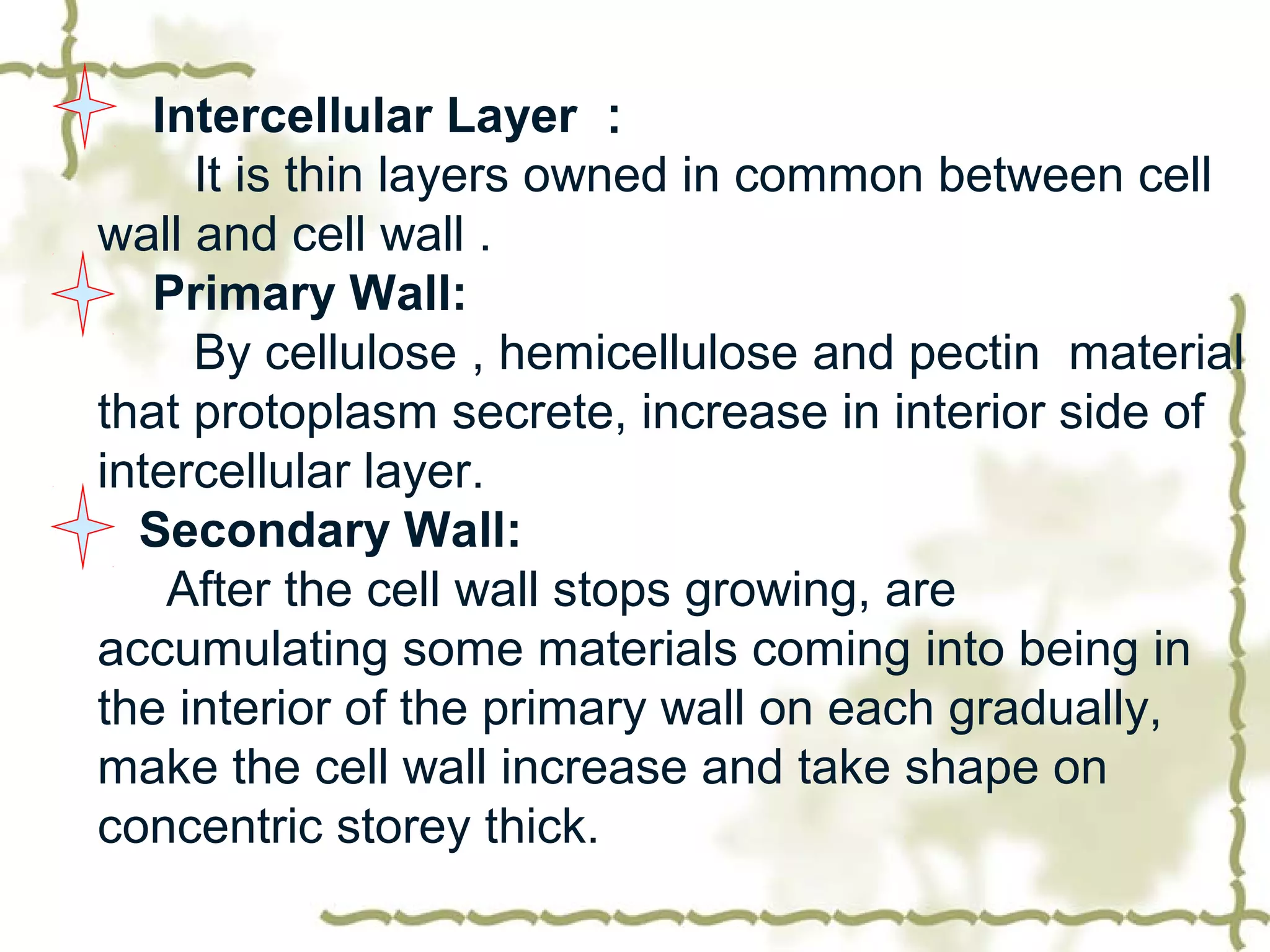 1. plant cell | PPT