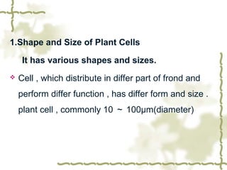 1. plant cell | PPT