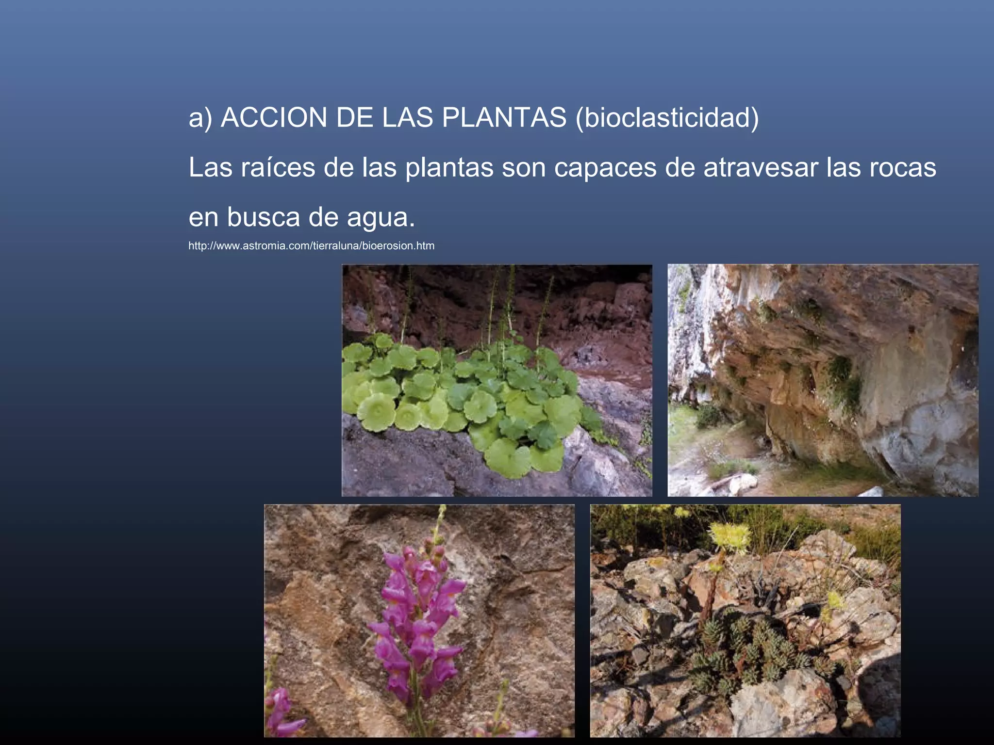 1.3. origen y formacion del suelo | PPT