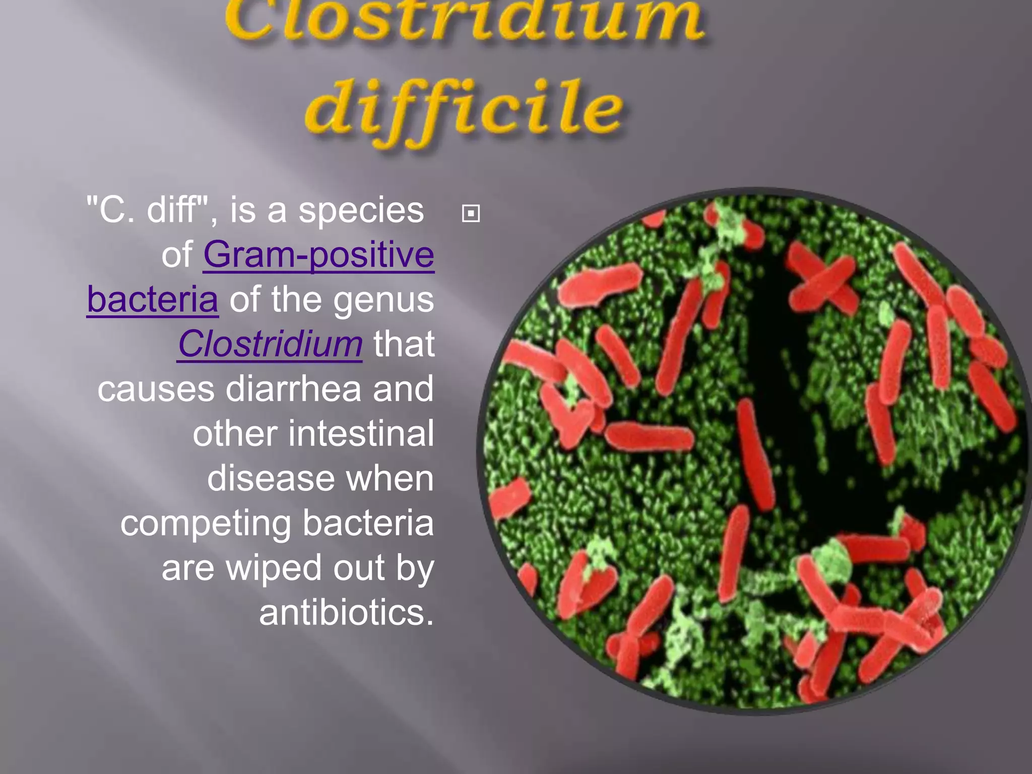 Clostridium species - Microbiology | PPTX