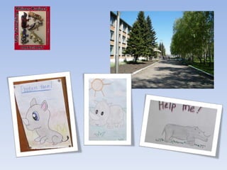 Help the rhino! | PPT