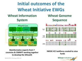 Wheat Initiative: A global research coordination platform for wheat ...