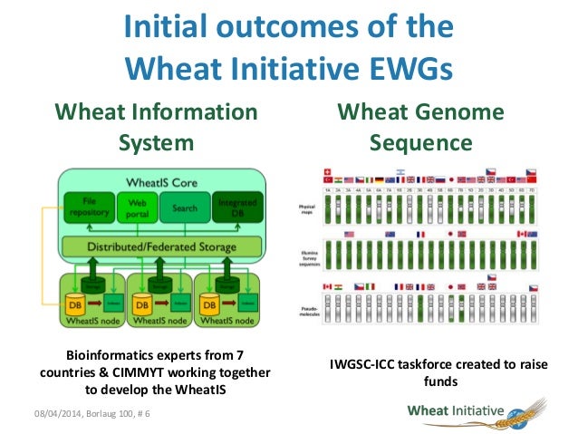 Wheat Initiative: A global research coordination platform for wheat i…