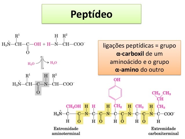 Aminoácidos, peptídeos e proteínas