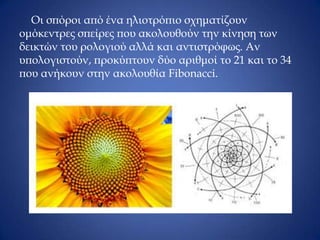 η χρυσή τομή 1