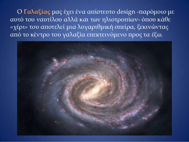 η χρυσή τομή 1