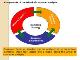 1. the wheel of consumer analysis is flexible and can aid in ...