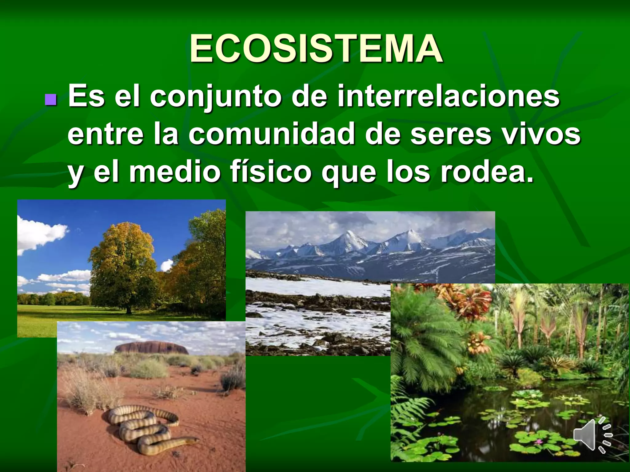 Los Ecosistemas y sus componentes | PPT