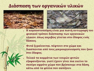 Κομποστοποίηση | PPTX