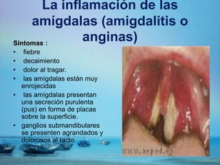 1.7 sistema limfatico | PPTX