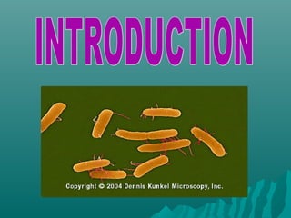 1. introduction to microbiology | PPT