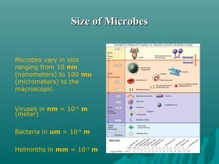 1. introduction to microbiology | PPT
