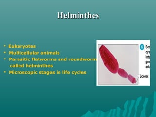 1. introduction to microbiology | PPT