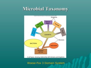 1. introduction to microbiology | PPT
