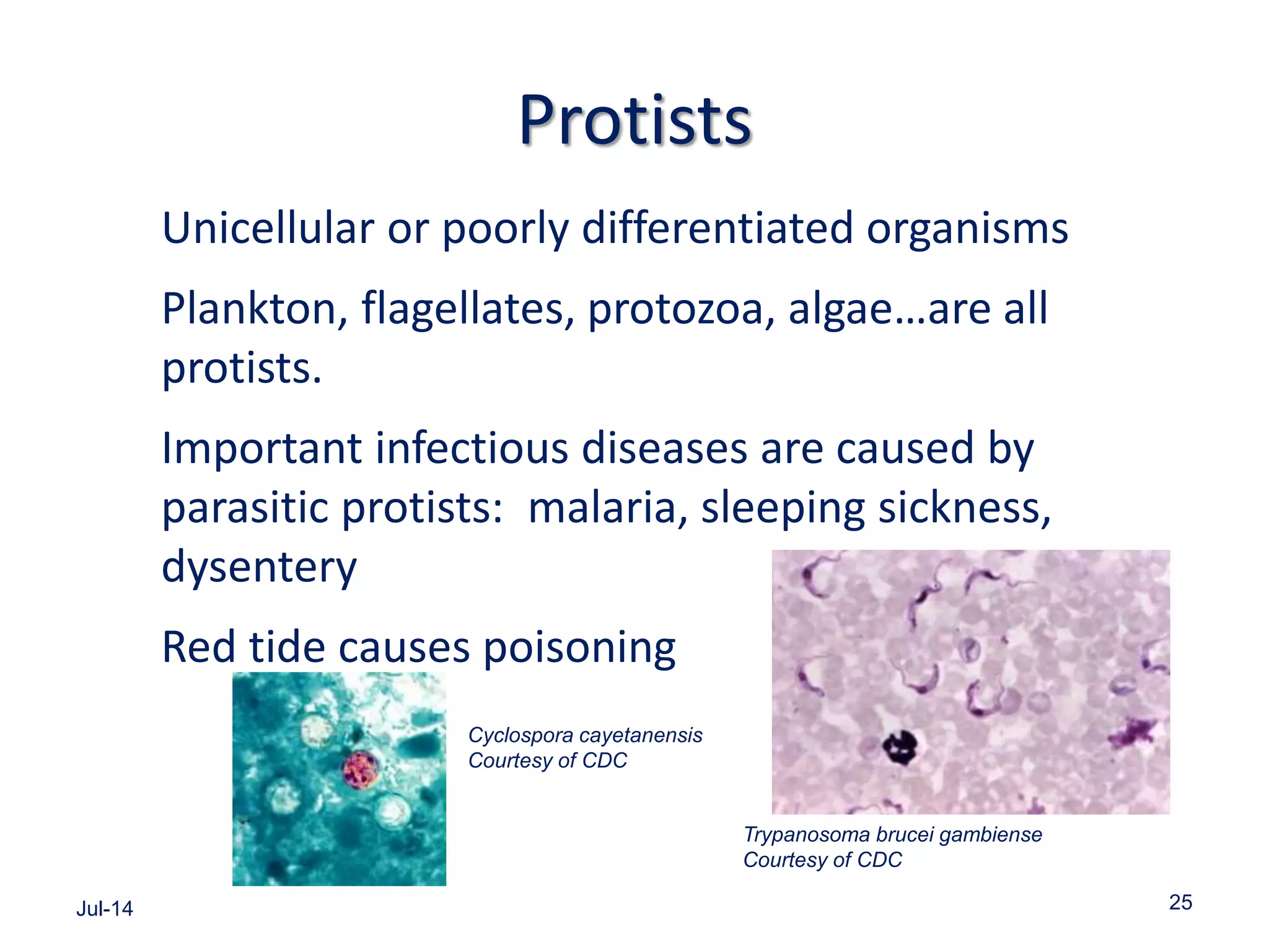Microbiology for Nursing Students: 1. Introduction to Microbiology | PPTX