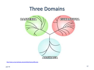 Microbiology for Nursing Students: 1. Introduction to Microbiology | PPTX