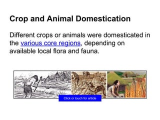 1.2 Neolithic and Agricultural Revolutions | PDF