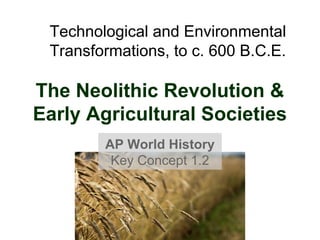 Neolithic Agricultural Revolution