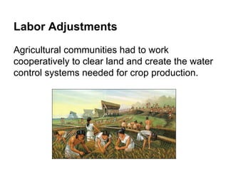 Neolithic Agricultural Revolution