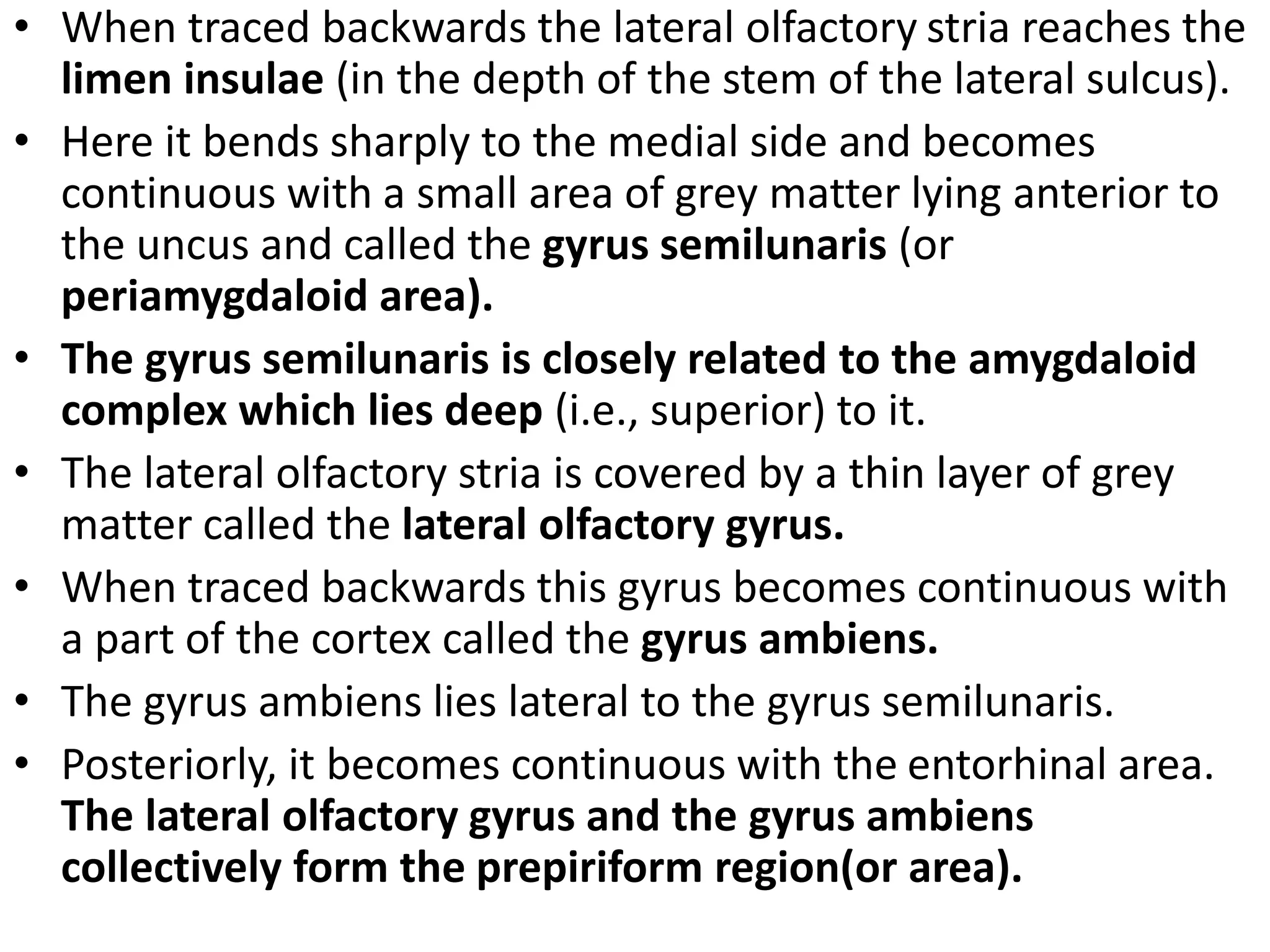 olfactory nerve | PPTX