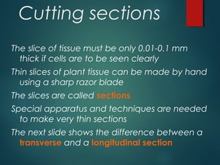 ppt of educ'l technology | PPT