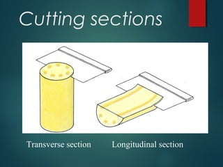 ppt of educ'l technology | PPT