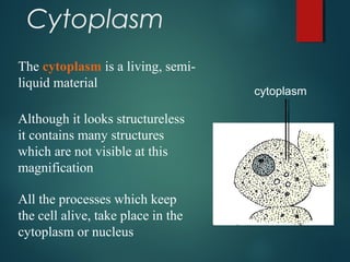 ppt of educ'l technology | PPT
