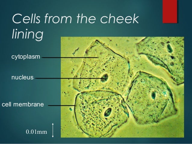 ppt of educ'l technology