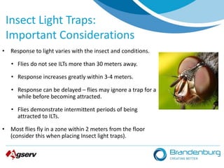 Intro To Flying Insects | PPTX | Infectious Diseases | Diseases and ...