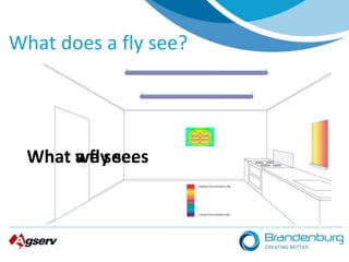 Intro to flying insects | PPT