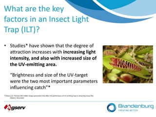 Intro to flying insects | PPT