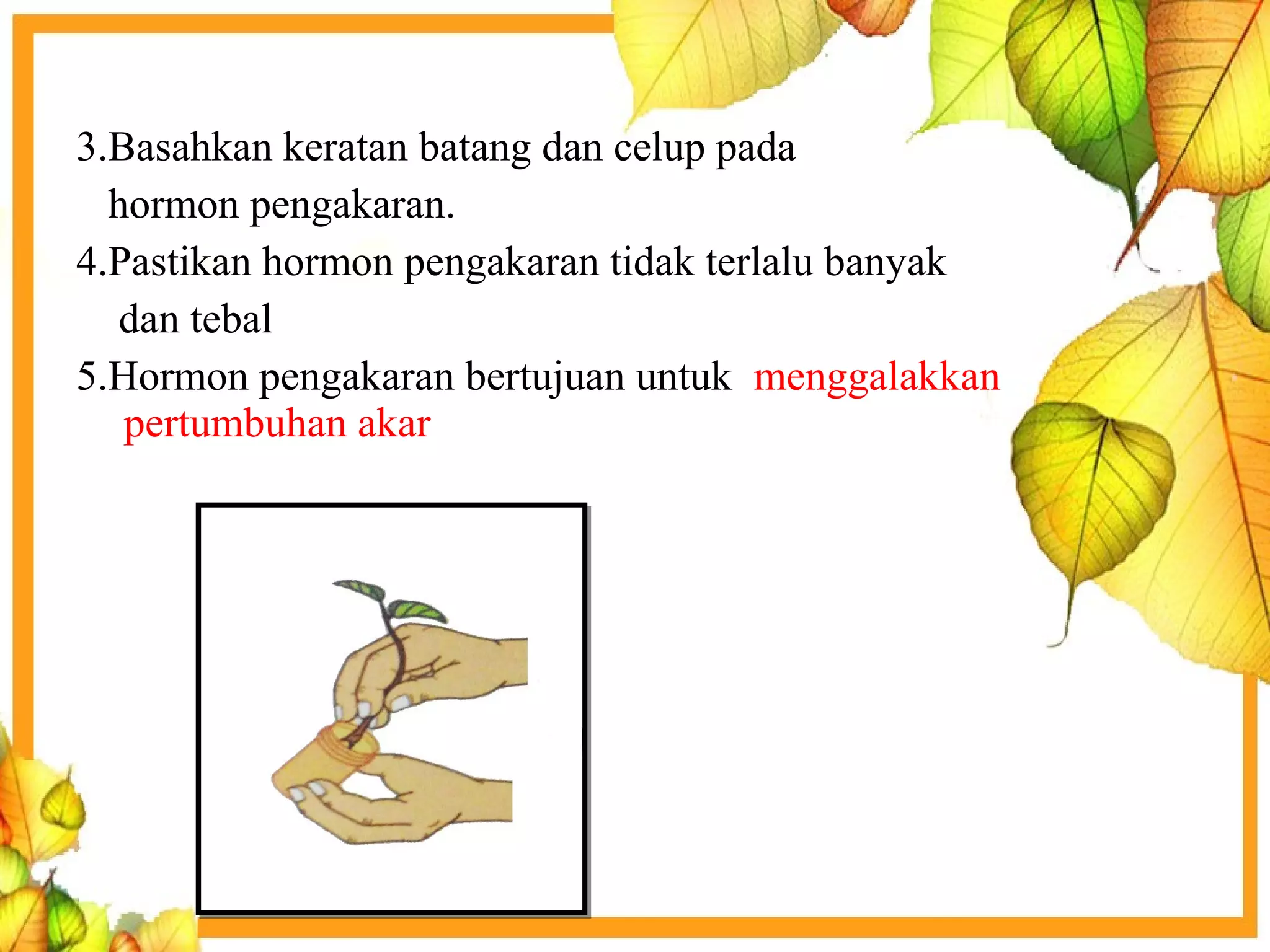 1.pembiakan secara keratan batang | PPT