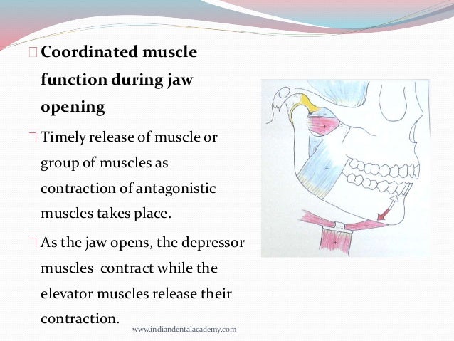 full mouth rehabilitation / Labial orthodontics