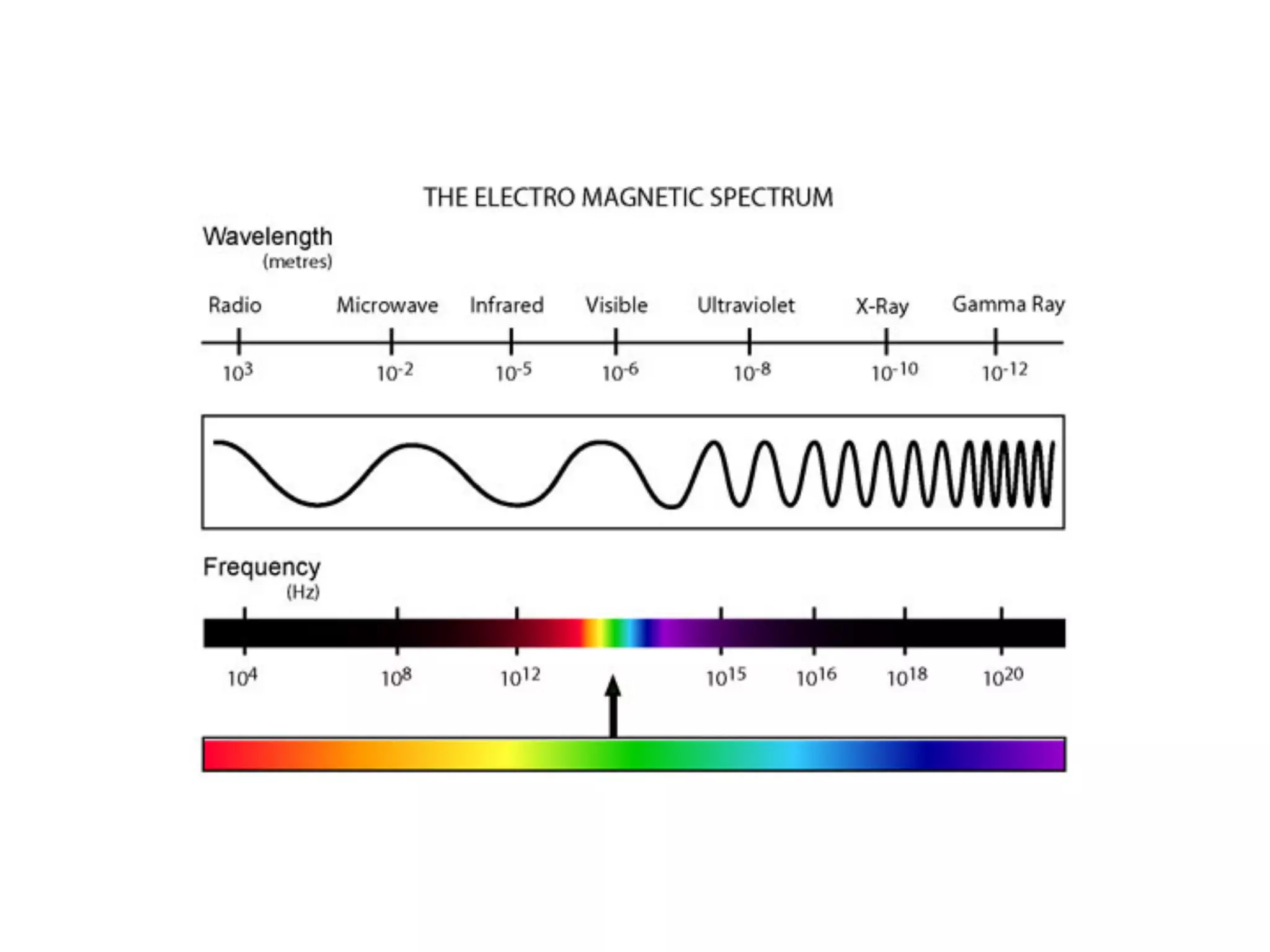 Intro to Color Theory | PPT