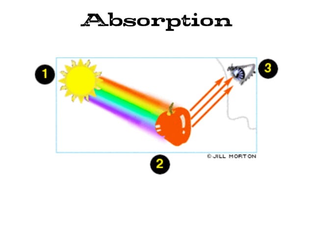 Intro to Color Theory | PPT