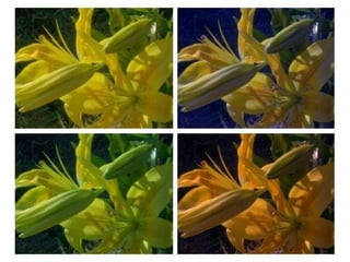 Intro to Color Theory | PPT