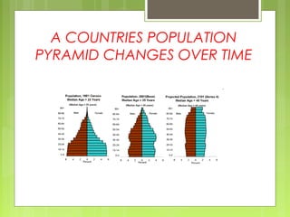 1.2 Population and Sustainability | PPT