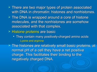 Chromosomal coiling and structure | PPT