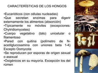 1.l os hongos | PDF