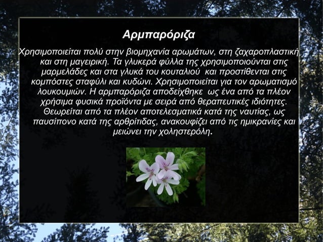 αρωματικά φυτά 1 | PPT